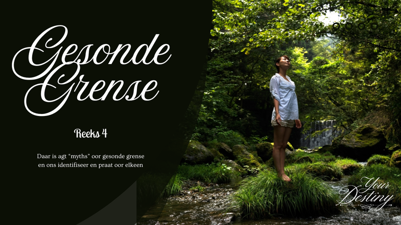 Gesonde Grense